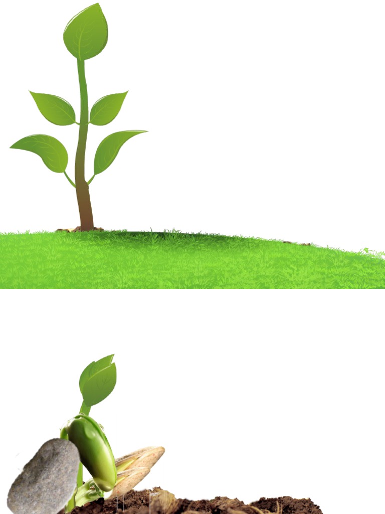 Environment PPT Template 021 | PDF