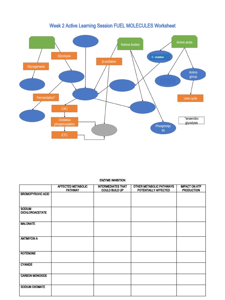 Week 2 Active Learning Session FUEL MOLECULES Worksheet: C-Skeleton | PDF