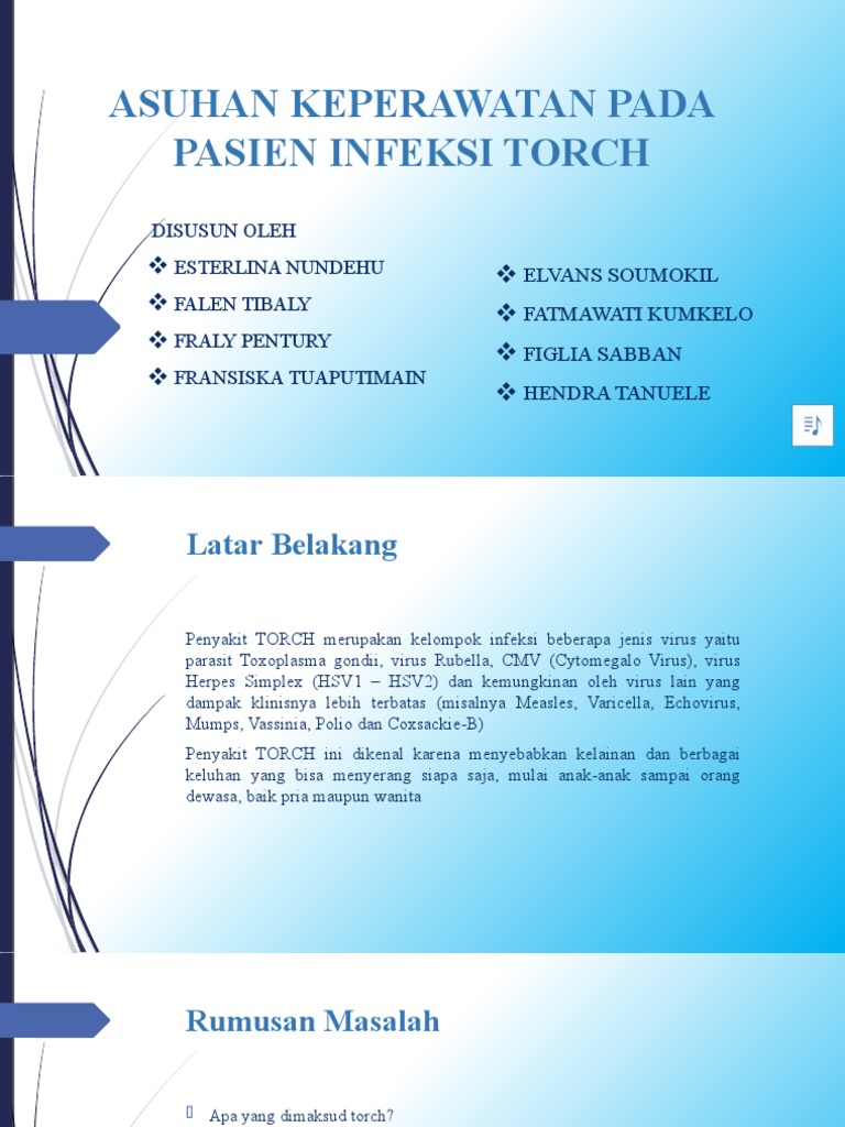Asuhan Keperawatan Pada Pasien Infeksi Torch | PDF