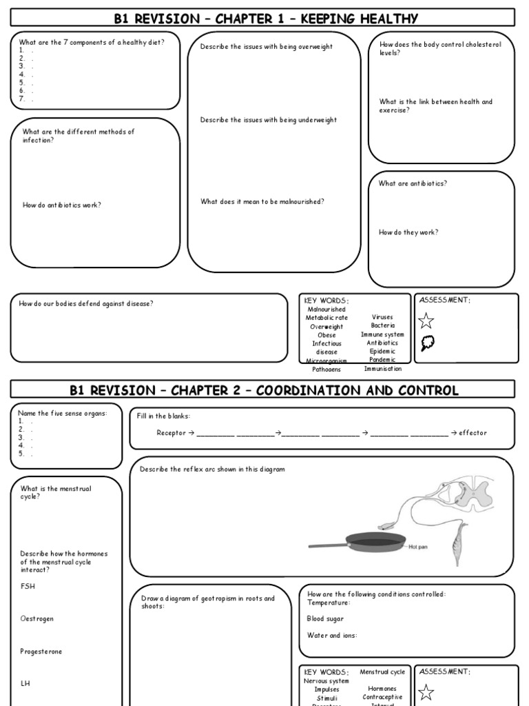 Biology Revision Sheets | PDF | Evolution | Genetics