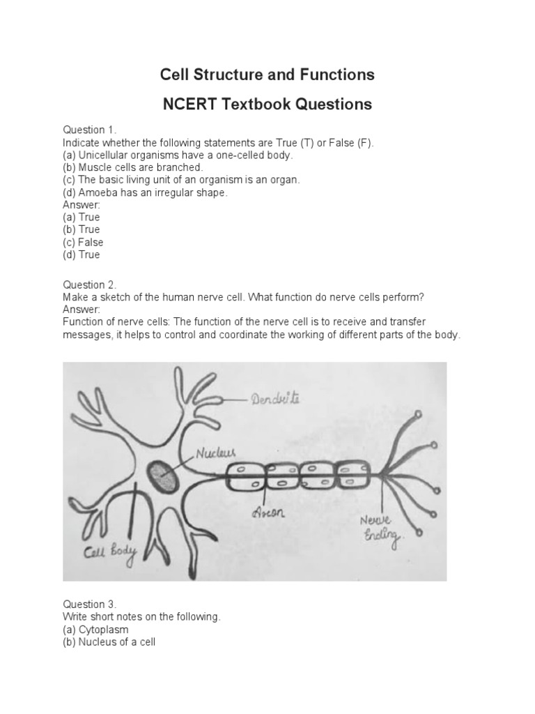Cell Structure and Functions Question Answser | PDF | Eukaryotes | Cell ...