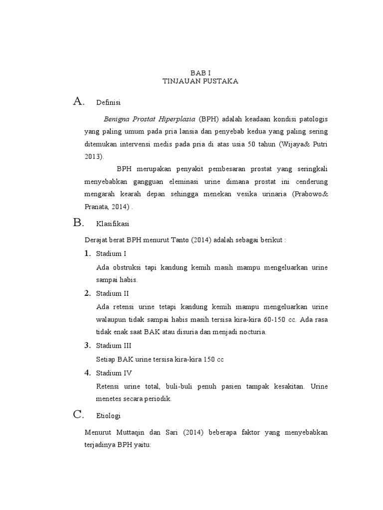 Standar Asuhan Keperawatan BPH | PDF