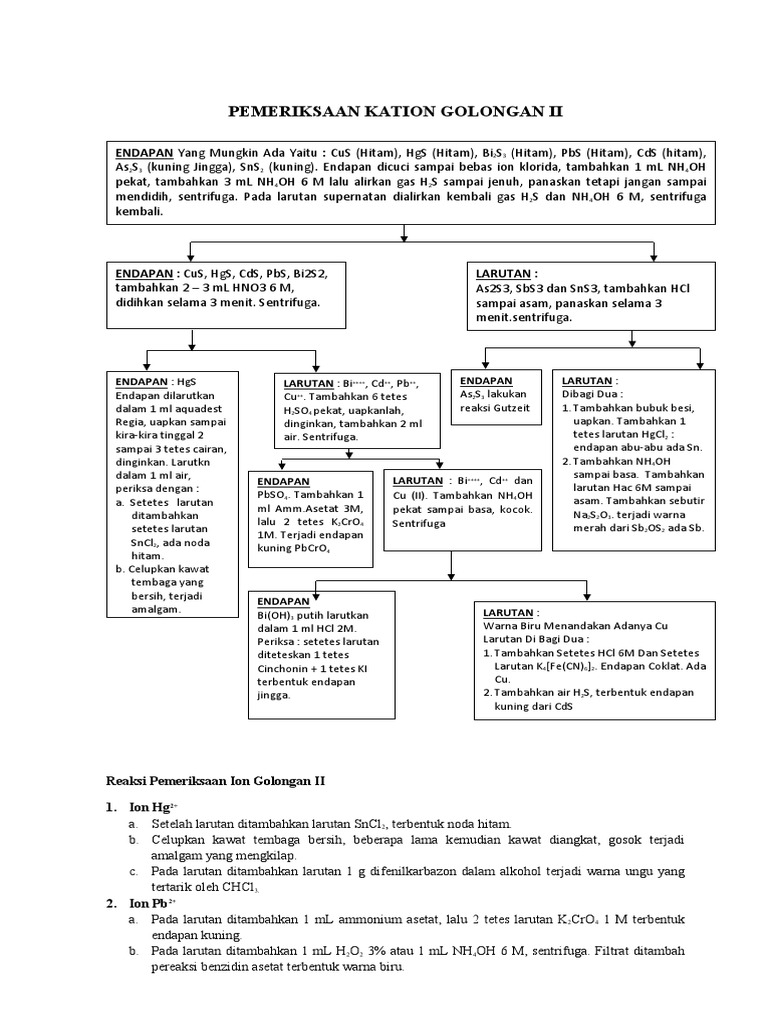 Pemeriksaan Kation Golongan Ii: Endapan Yang Mungkin Ada Yaitu: Cus (Hitam), Hgs (Hitam), Bi | PDF