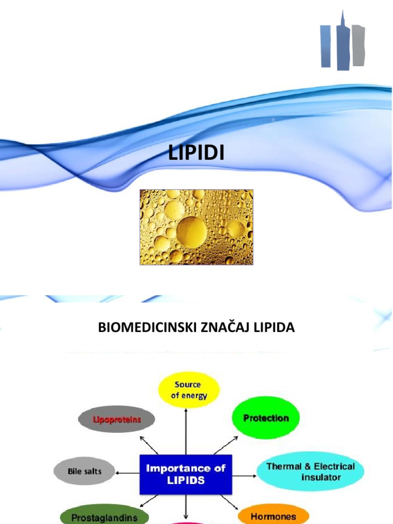 Lipidi | PDF