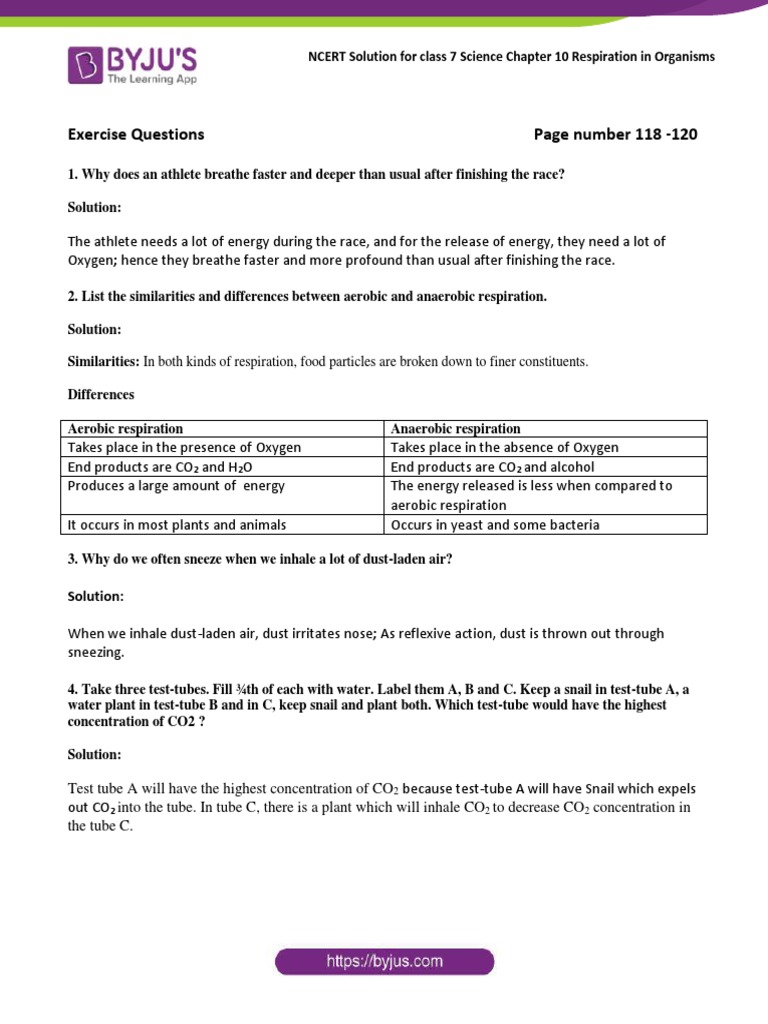 NCERT Solutions For CBSE Class 7 Science Chapter 10 | PDF