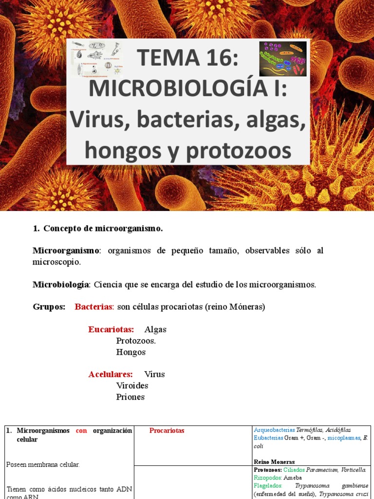 Tema 16 - Microbiología | PDF | Virus | Retrovirus