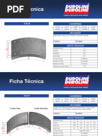 Vetor - Palhetas 2021 | PDF