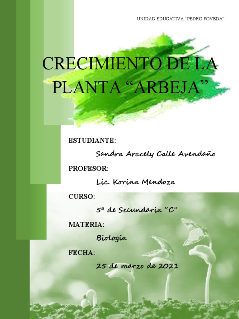 Experimento de Una Planta | PDF | Biología | Entorno natural