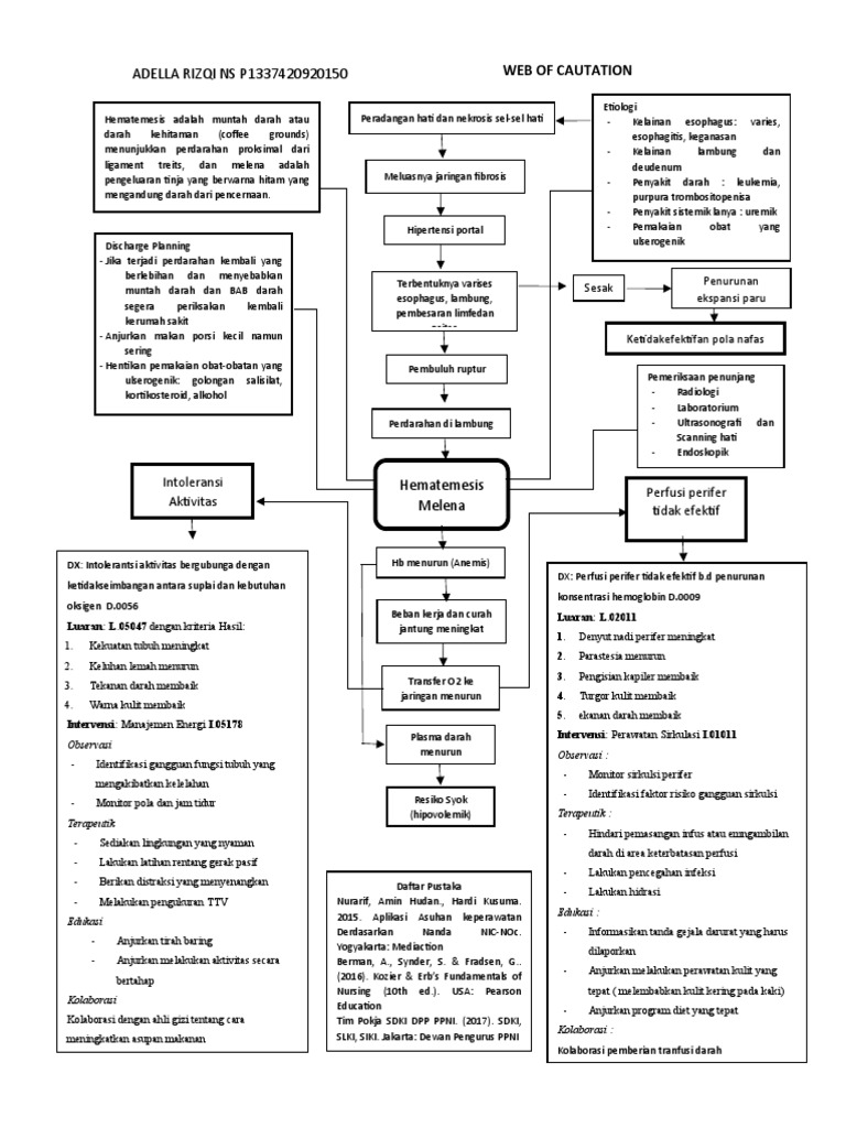 Adella Rizqi Ns-Woc Hematemesis Melena-P1337420920150 | PDF