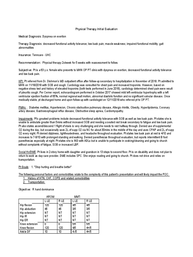 Initial Evaluation for Physical Therapy | PDF | Balance (Ability ...