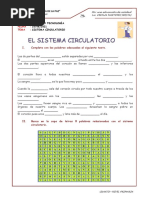 Sopa de Letras de Sistema Circulatorio | PDF