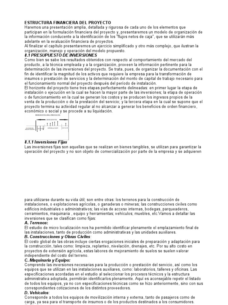 Estructura Financiera de Proyectos | PDF | Depreciación | Capital de ...