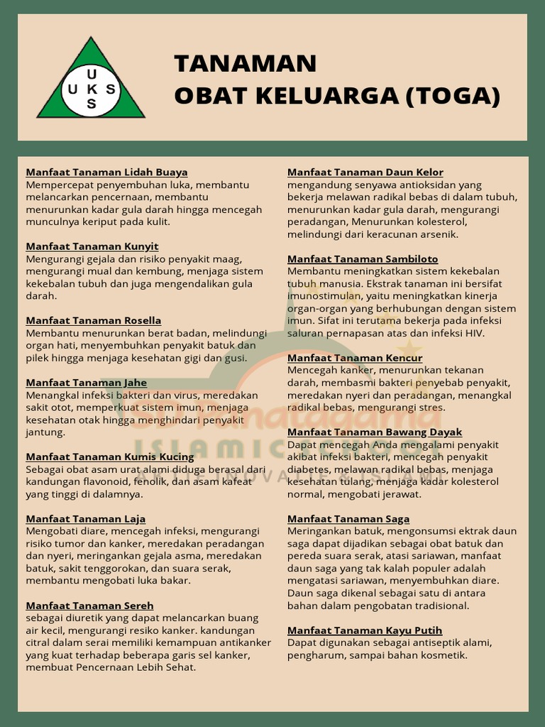 Manfaat Tanaman Obat Keluarga (TOGA) | PDF | Kesehatan Holistik | Sains ...