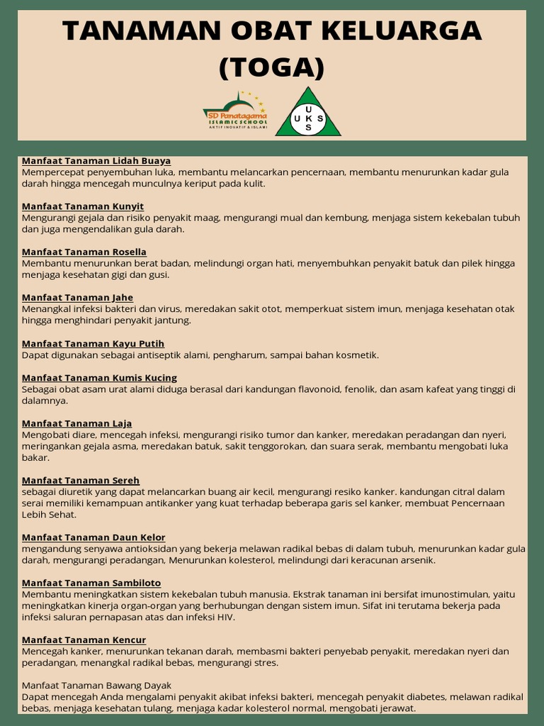 Manfaat Tanaman Obat Keluarga (TOGA) | PDF | Kesehatan Holistik