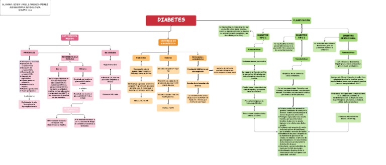 Diabetes Mapa Conceptual | PDF | Diabetes | Insulina