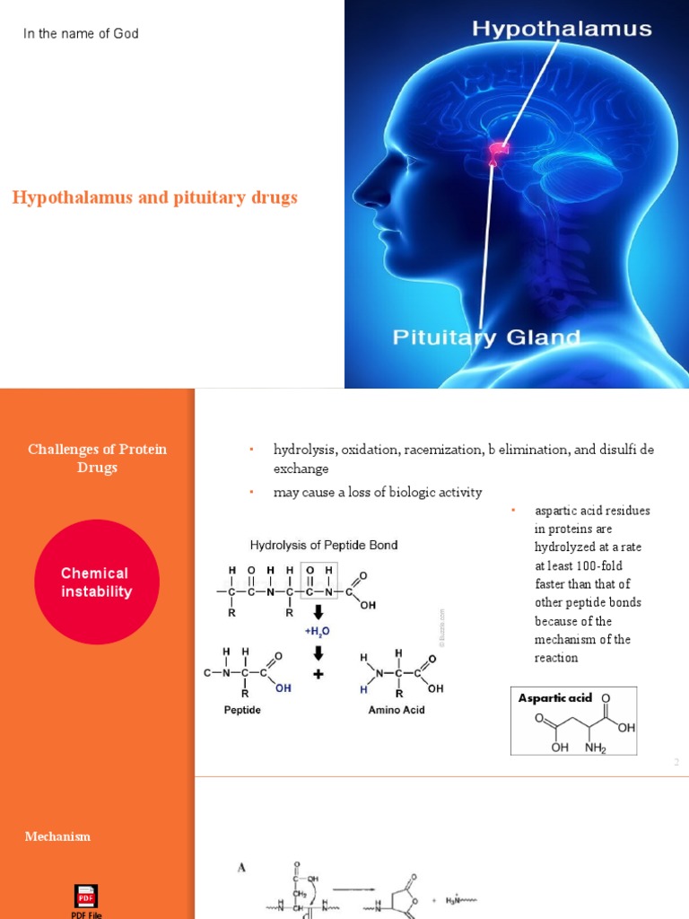 Hypothalamus and Pituitary Drugs | PDF | Luteinizing Hormone | Growth ...