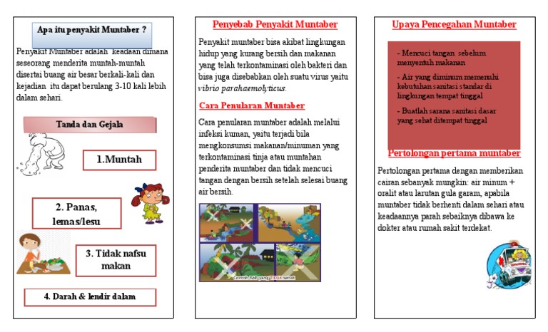 Leaflet Muntaber | PDF