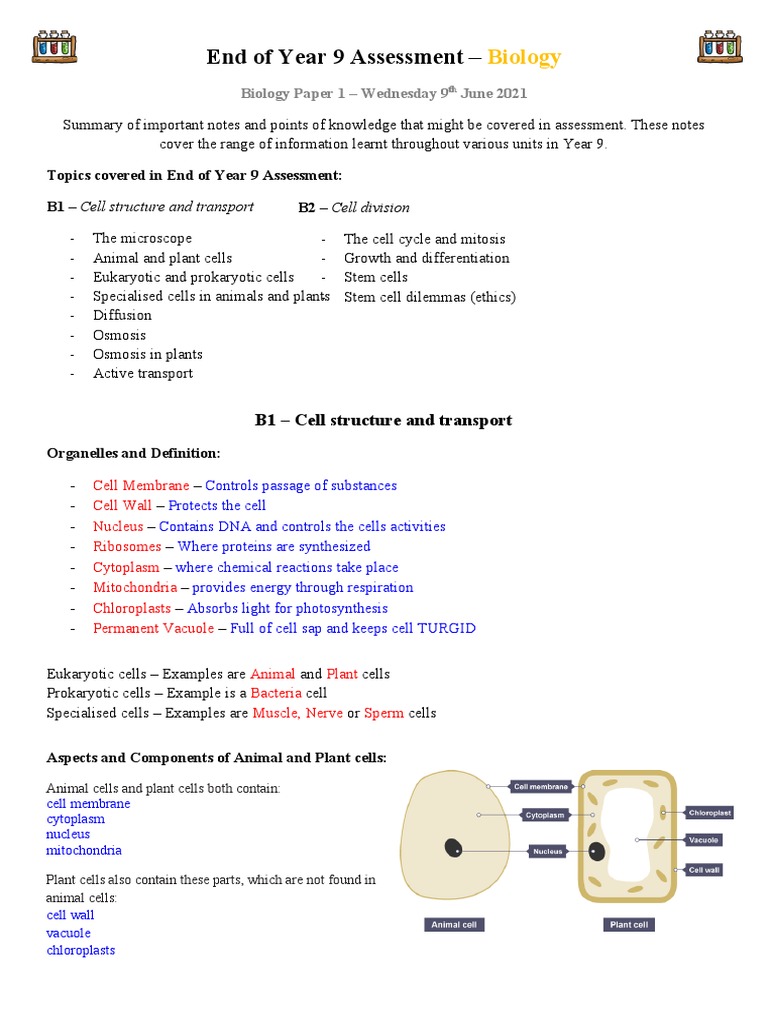 BIOLOGY - Science Notes For End of Year 9 Assessment | PDF | Cell ...