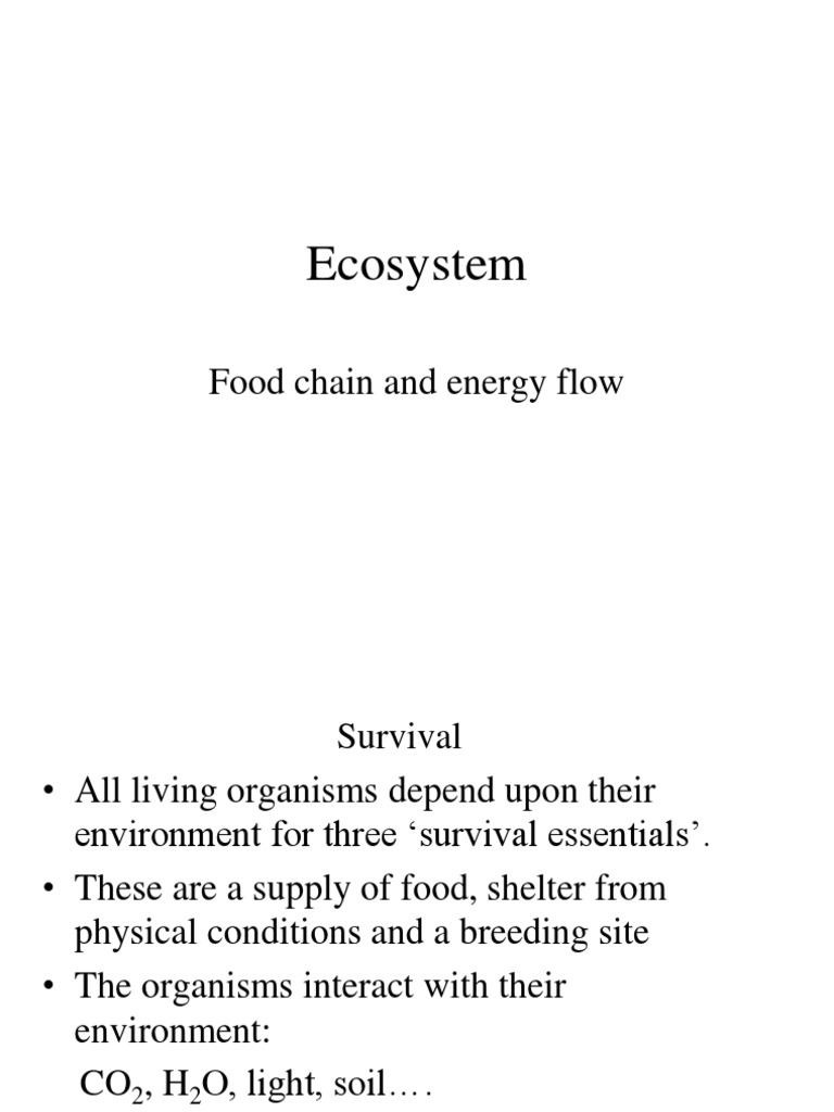 Ecosystem: Food Chain and Energy Flow | PDF | Food Web | Ecosystem