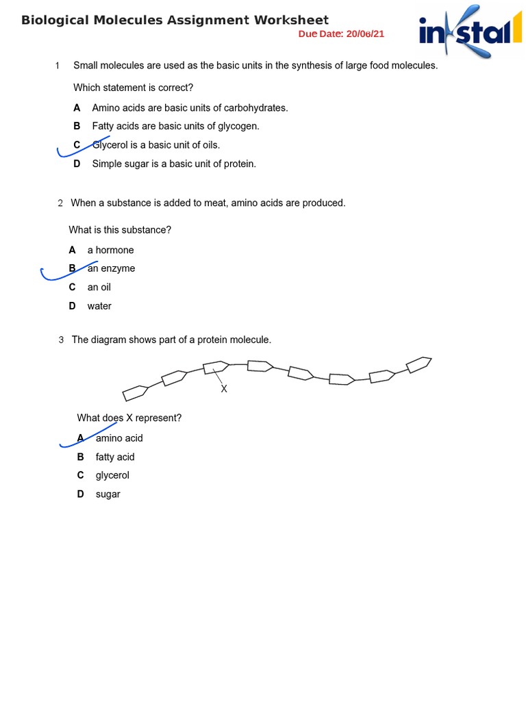 Biological Molecules Quiz Worksheet | PDF | Carbohydrates | Starch