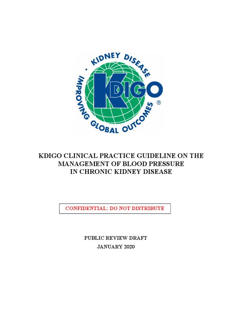 KDIGO BP Management in CKD GL Public Review Draft Jan 31 2020 | PDF ...