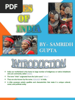 Tribes of India - PPT | PDF | Demographics Of India | South Asia