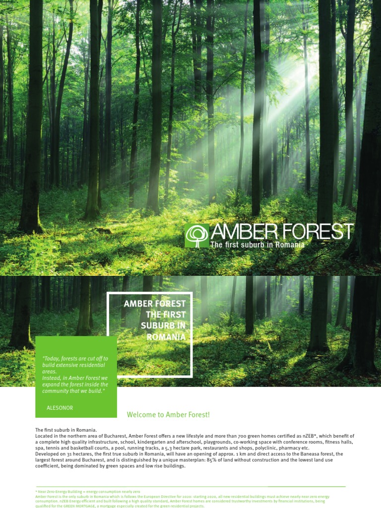 Amber Forest Brochure | PDF | Suburb | Wall