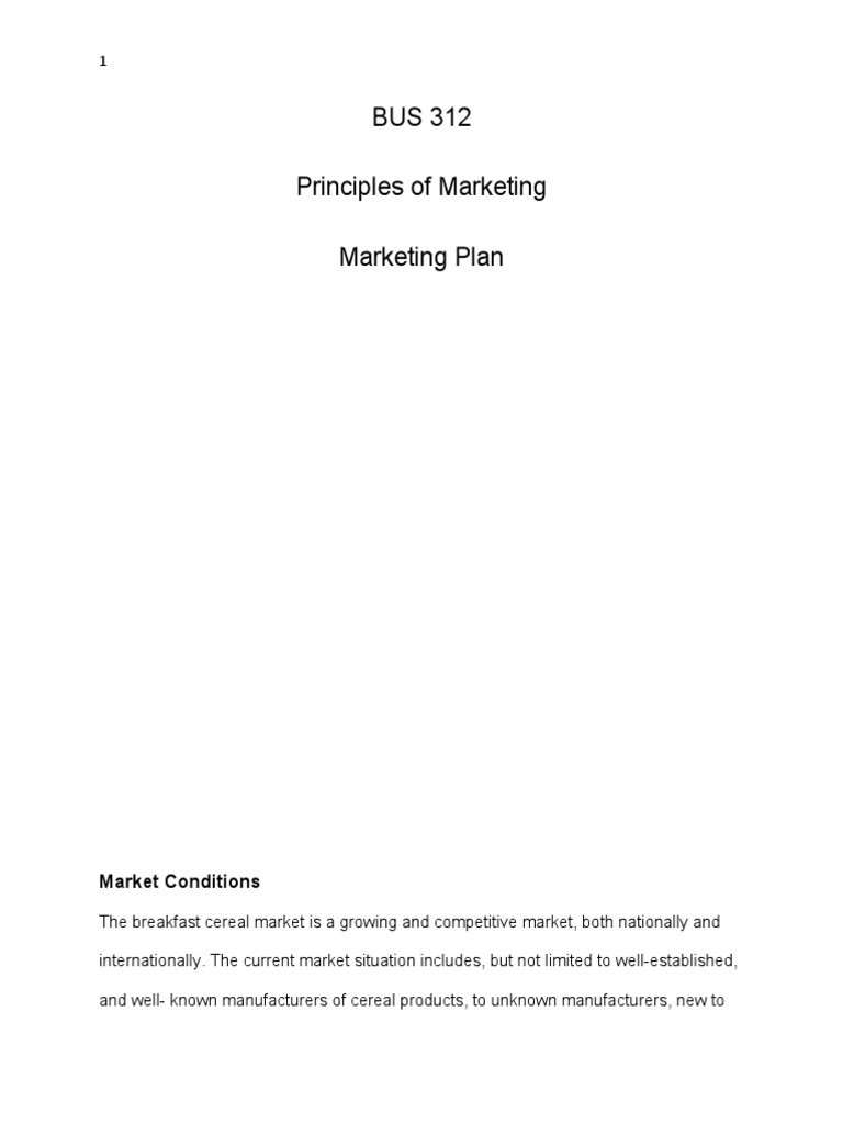BUS 312 Principles of Marketing Marketing Plan: Market Conditions | PDF ...