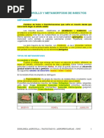 Evolución de Insectos: Cronología y Origen | PDF | Insectos | Escala de ...