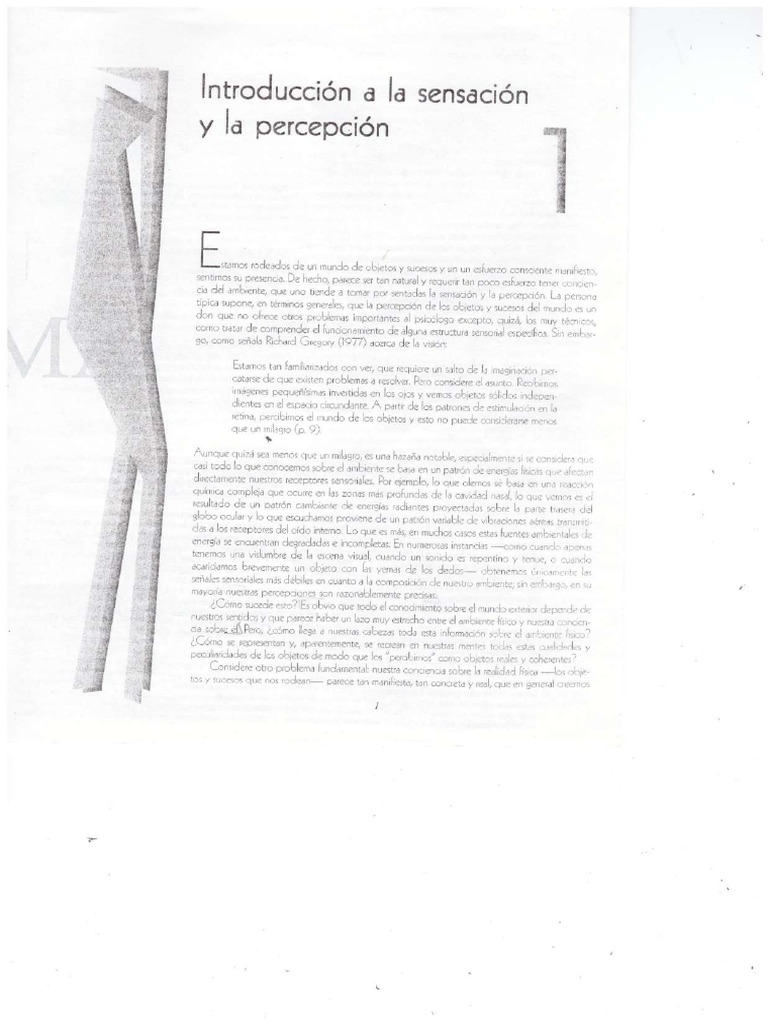 Libro Sensacion y Percepcion 1 | PDF