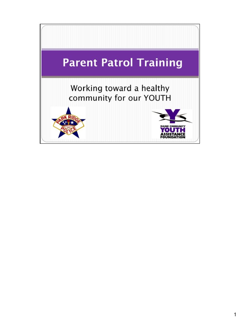 Strategies to Combat Teen Drinking | PDF | Adolescence | Youth