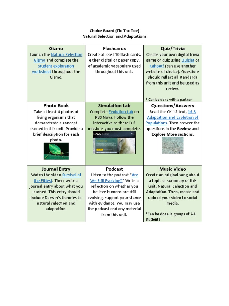 Choice Board | PDF | Natural Selection | Adaptation