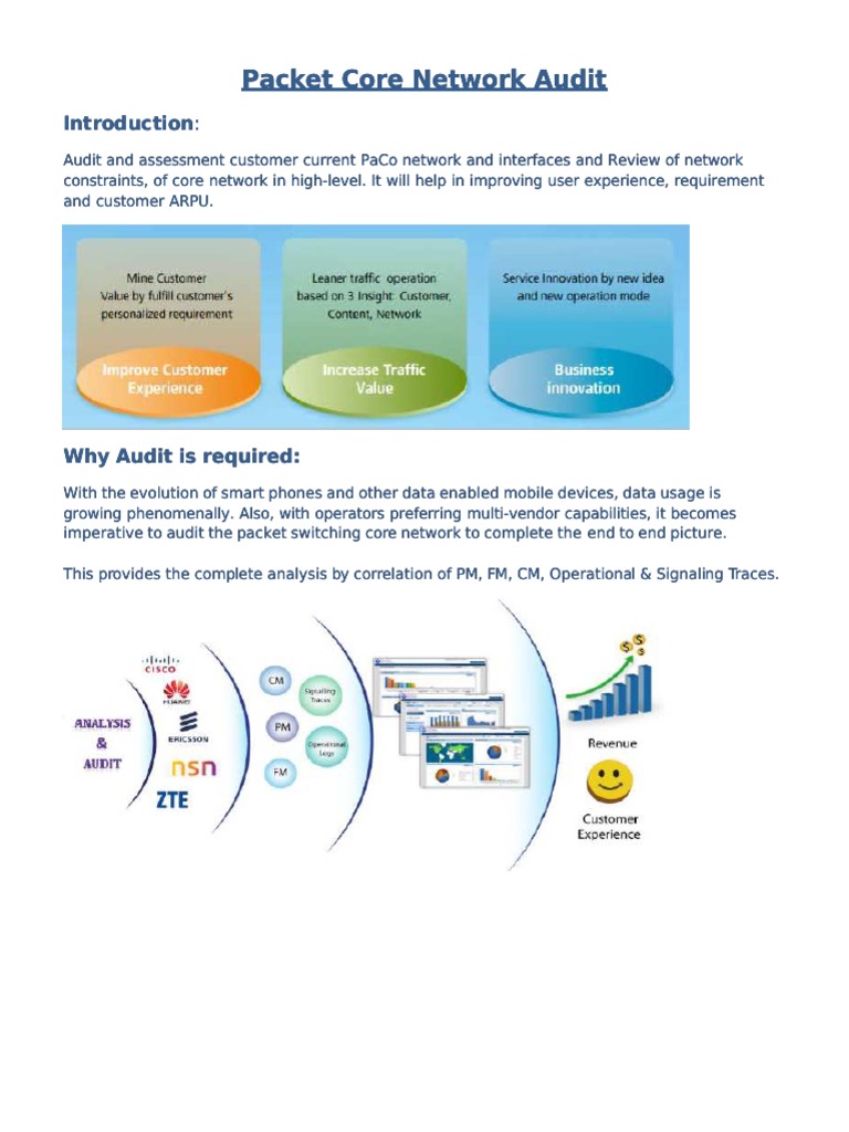 How To Do Packet Network Audit | PDF | Packet Switching | Internet Protocols