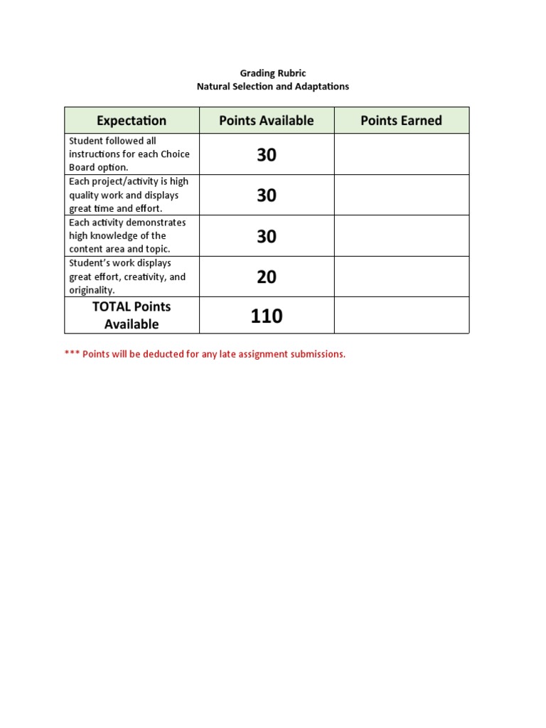 Choice Board Grading Rubric | PDF