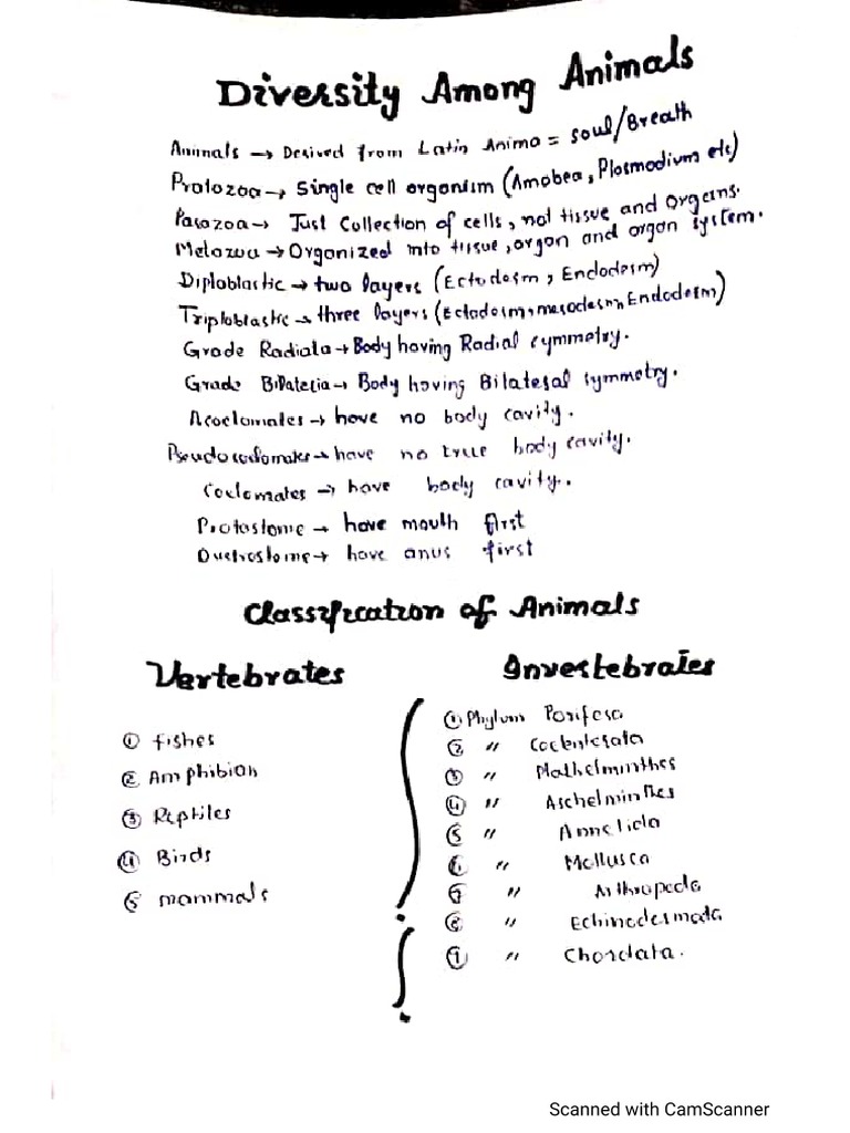 Zoology Hand Written Notes | PDF