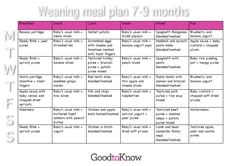 Weaning Meal Plan 7 9 Months | PDF | Pasta | Lunch