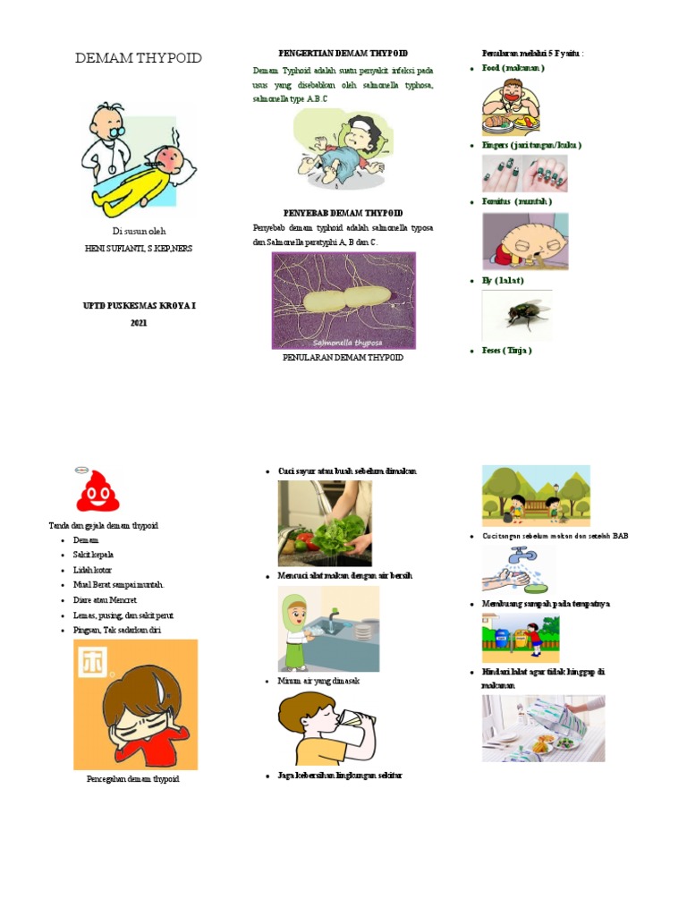 Leaflet Demam Thypoid | PDF