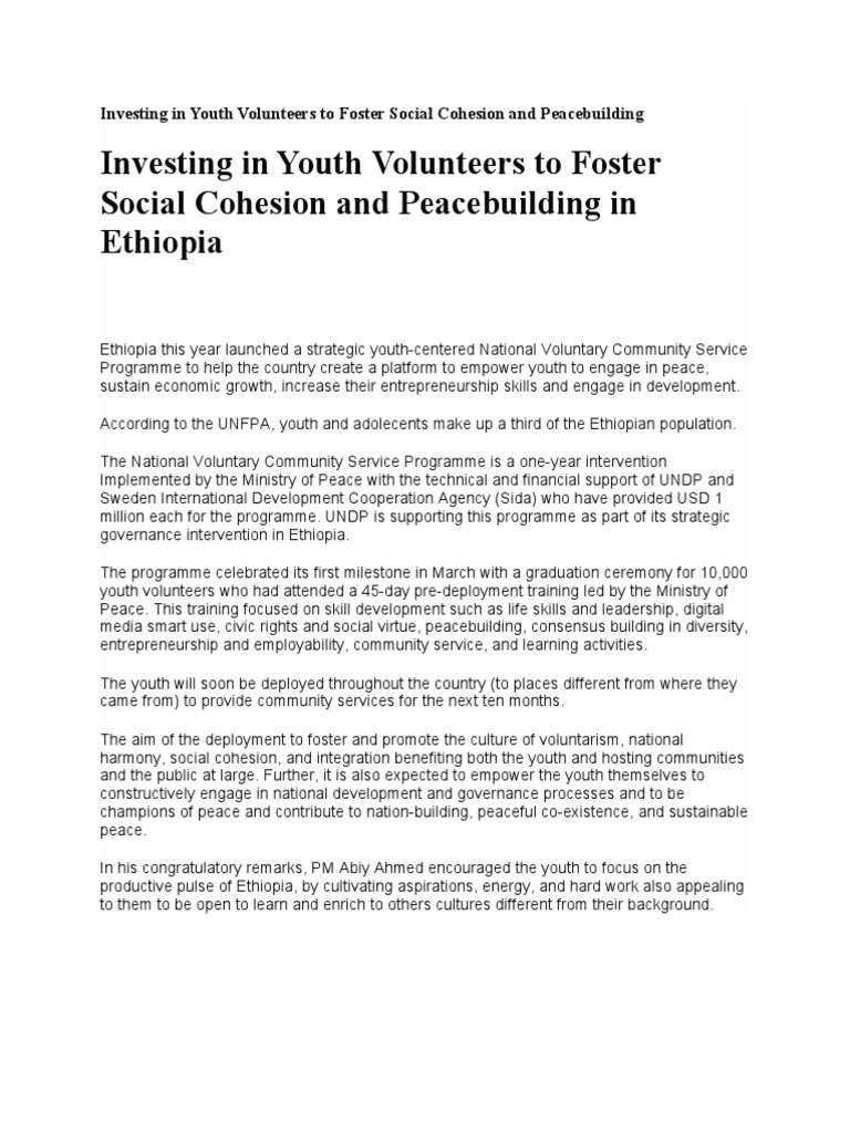 Investing in Youth Volunteers To Foster Social Cohesion and ...