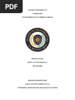 Asuhan Keperawatan Combustio Grade II | PDF
