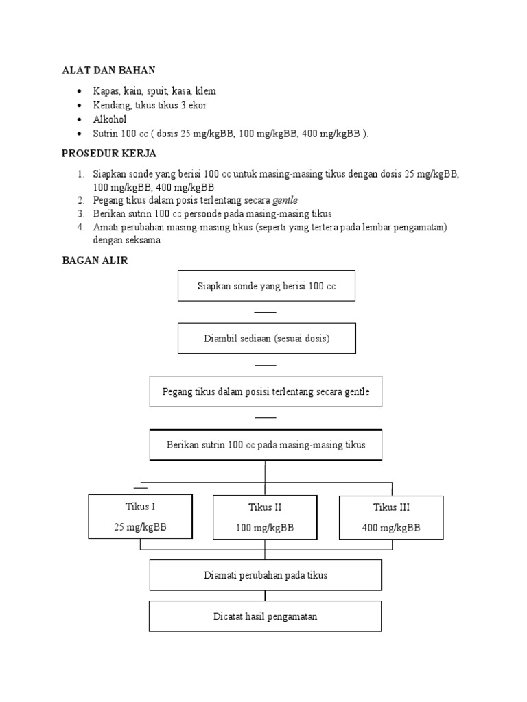 Prosedur Kerja + Bagan Alir | PDF