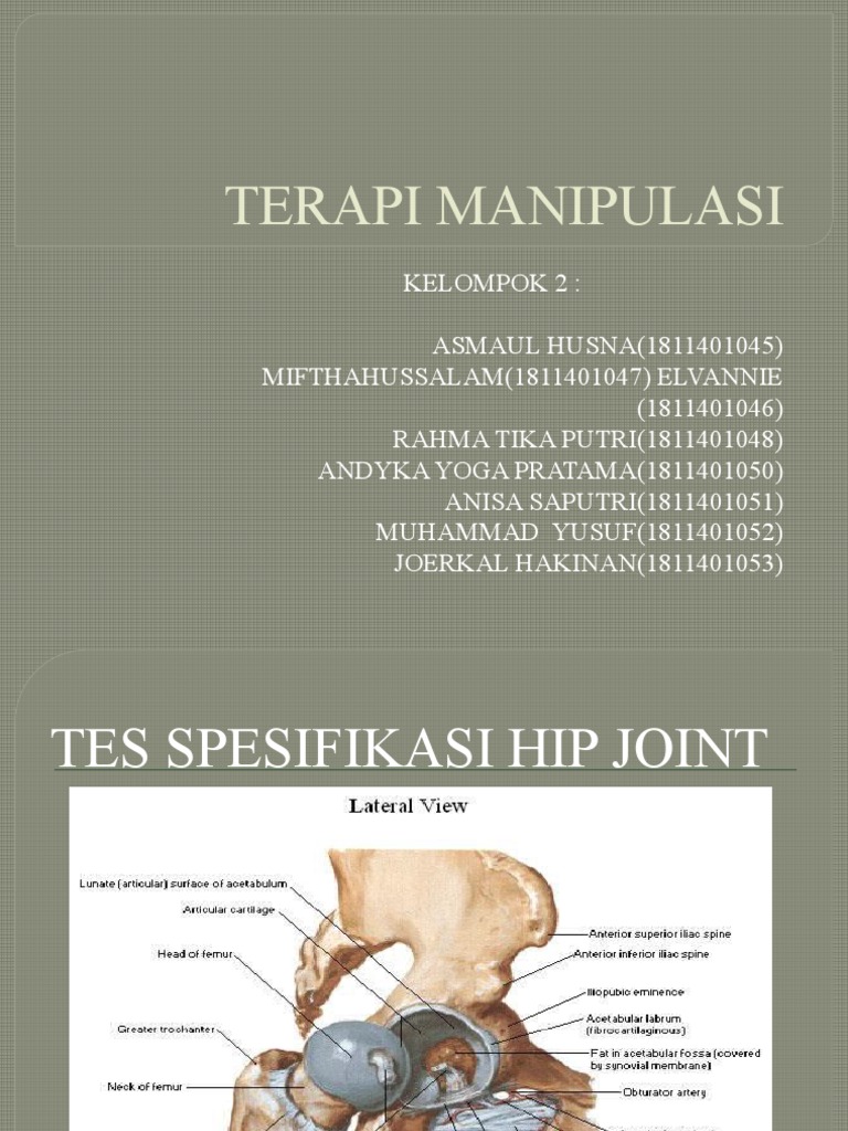 Terapi Manipulasi | PDF