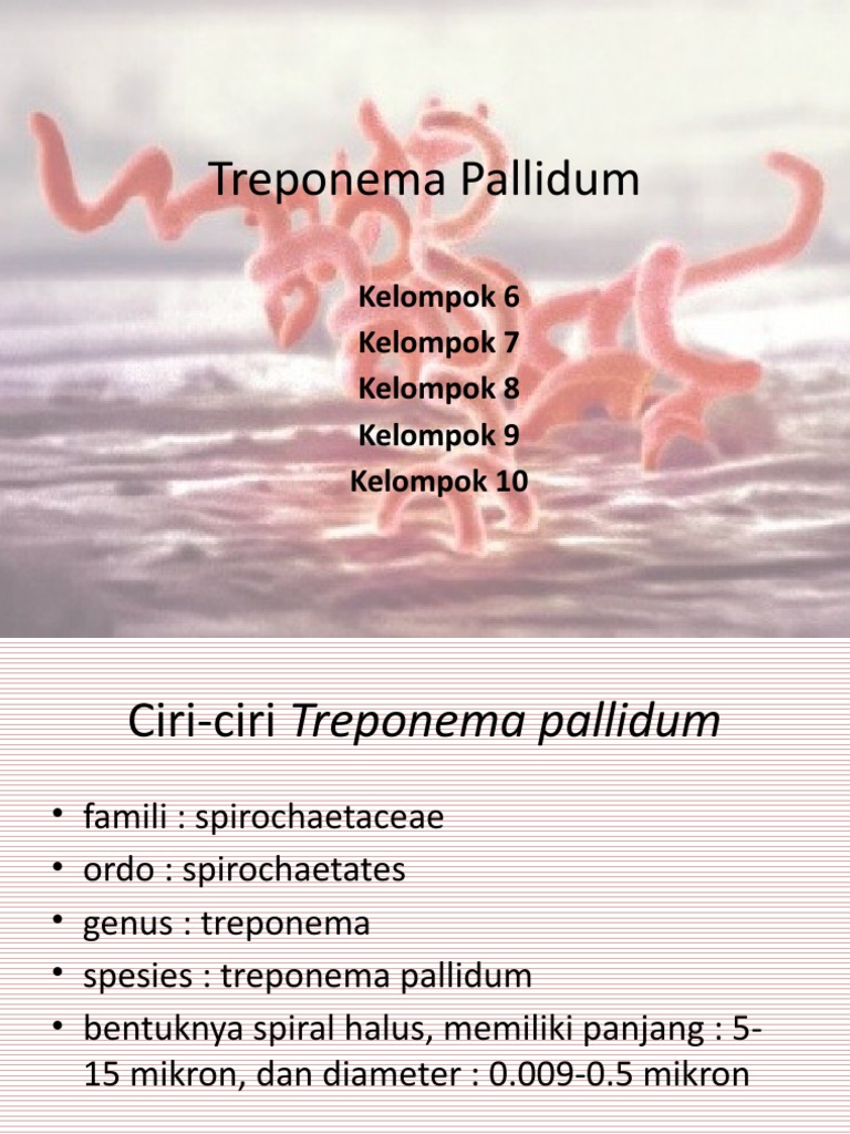 Treponema Pallidum | PDF