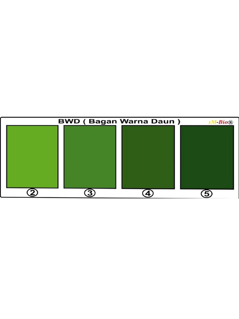 Bagan Warna Daun | PDF