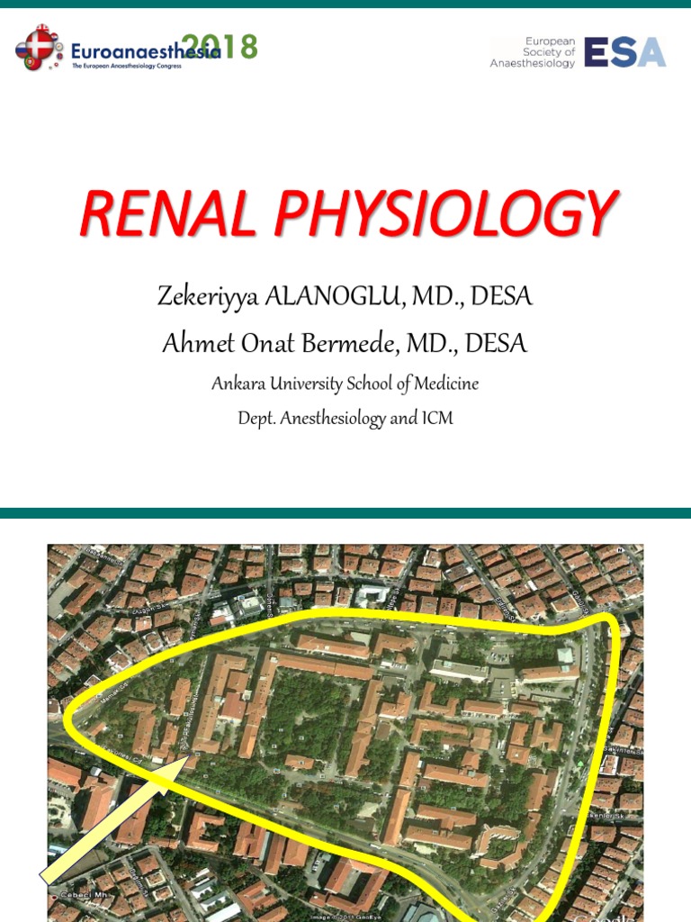 04.06.2018 - 4 - Z. Alanoglu - Renal Physiology | PDF | Kidney ... 04.06.2018 - 4 - Z. Alanoglu - Renal Physiology | PDF | Kidney ...