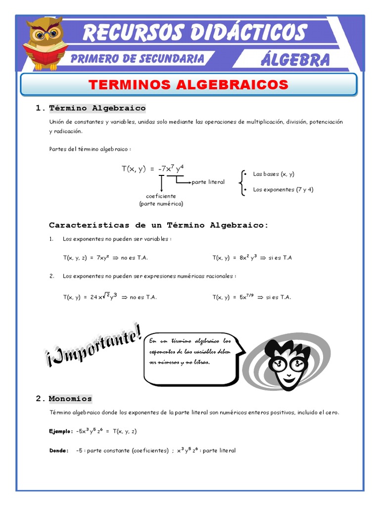 Término Algebraico para Primero de Secundaria | PDF | Ciencia ...