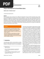 KDIGO AKI AKD Guideline Scope of Work 2023 Final | PDF | Diseases And ...