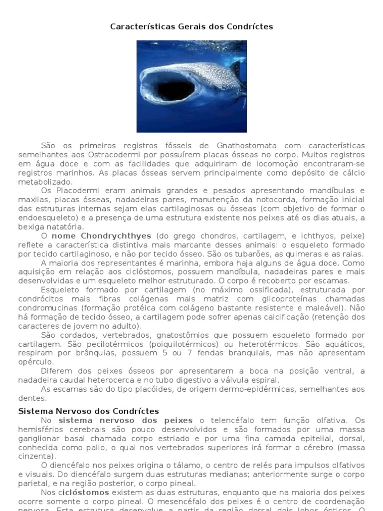 Características Gerais Dos Condríctes e Osteíctes | PDF | Brânquia | Peixes
