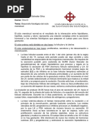 Criterios GLIM para Diagnóstico Nutricional | PDF | Desnutrición ...