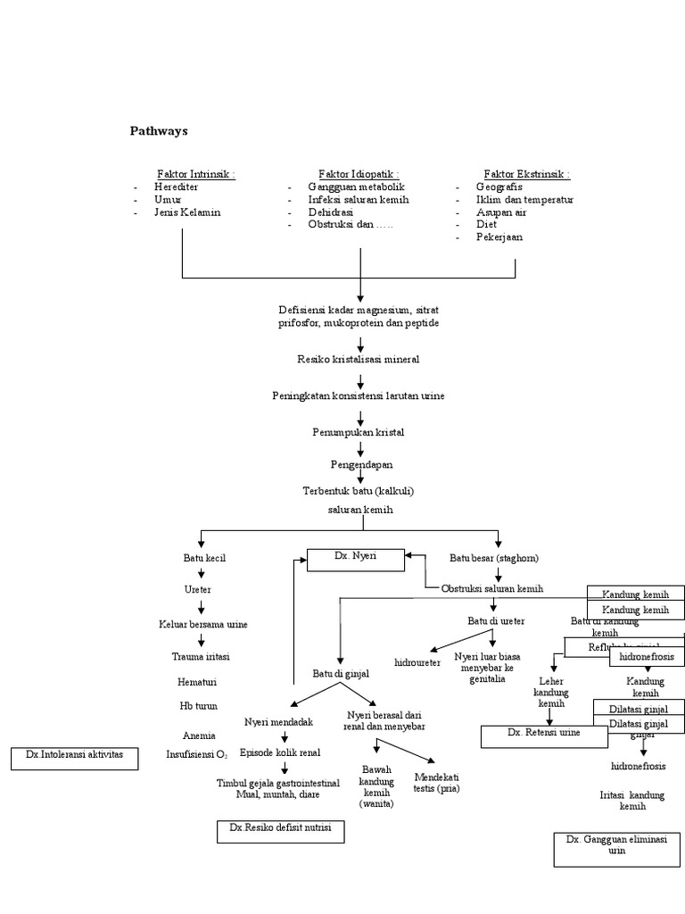Woc Batu Saluran Kemih | PDF