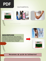 Prospecto NIFURYL | PDF | Infección del tracto urinario ...